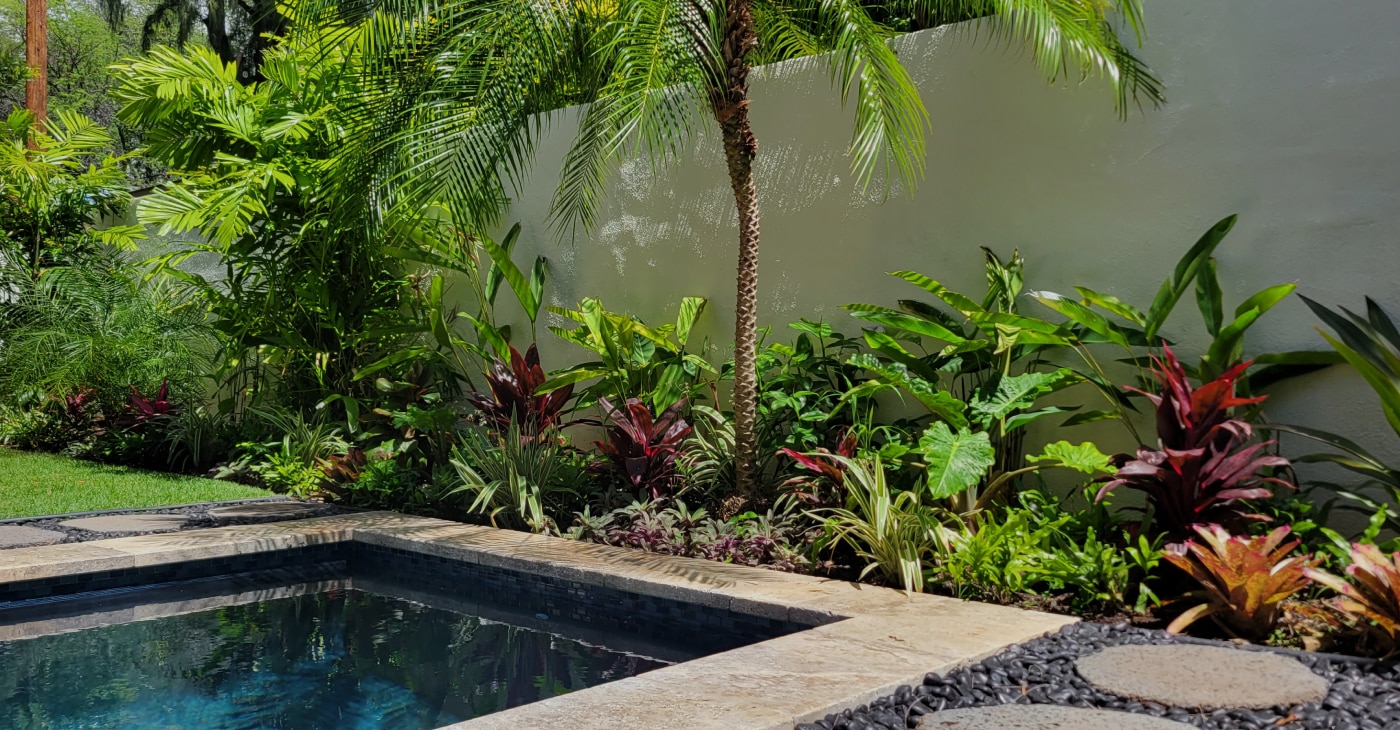 Immaculate Landscaping is a Landscaper in Kailua, HI 96734
